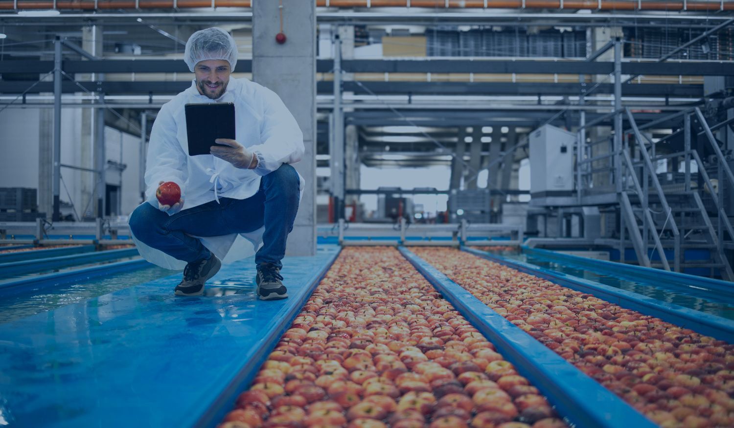 12 Steps to Strengthen Cybersecurity in Food and Agriculture for SMBs